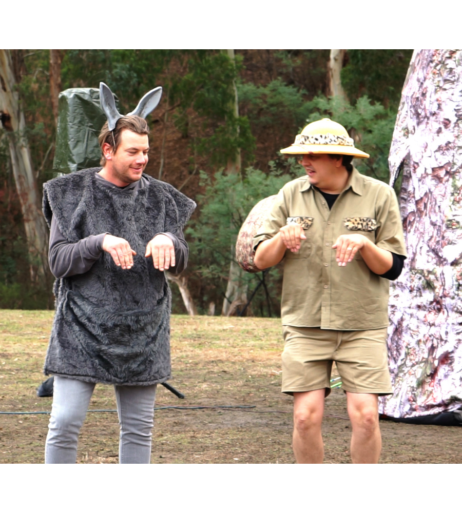 Stilt Walkers Australia | Giraffe-a-go-go